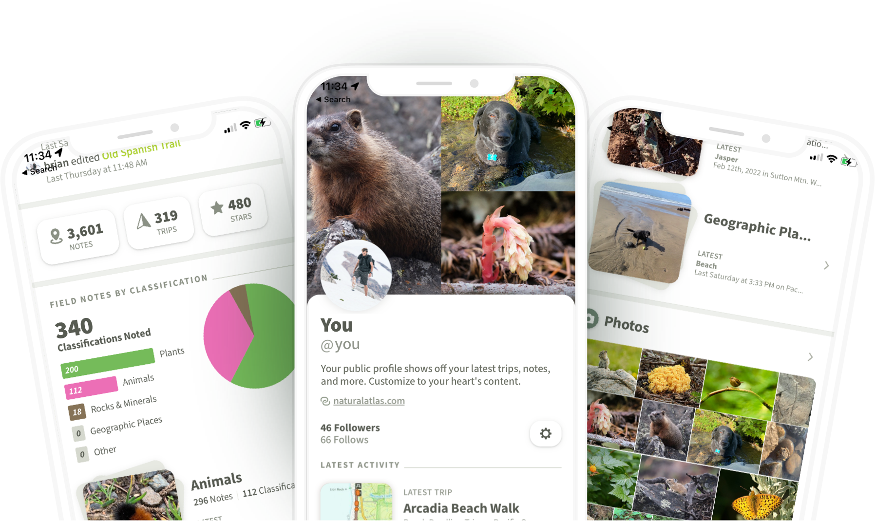 The Brand-New Natural Atlas Is Here | Natural Atlas