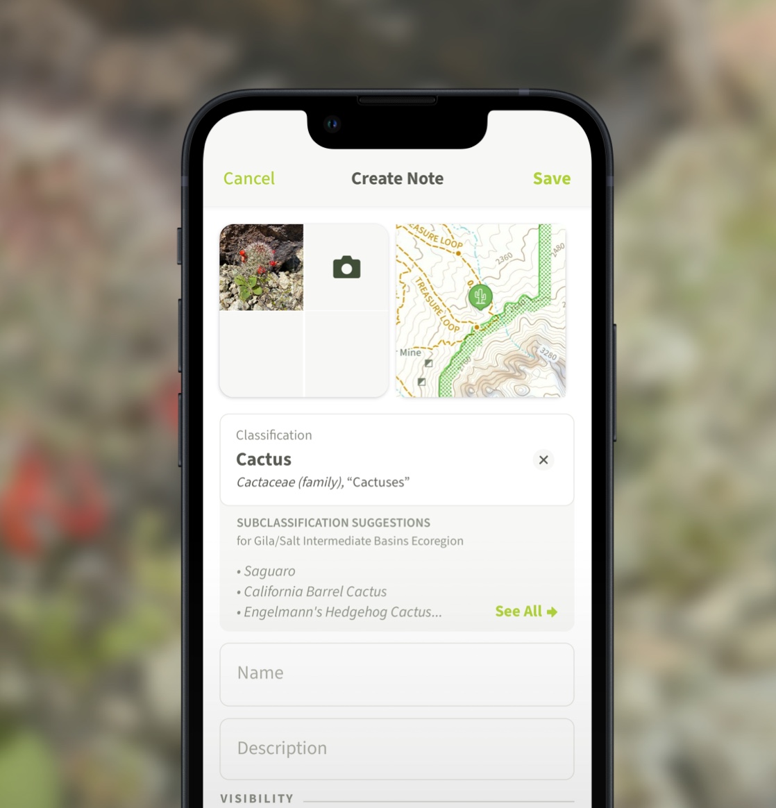 Recording Notes | Natural Atlas